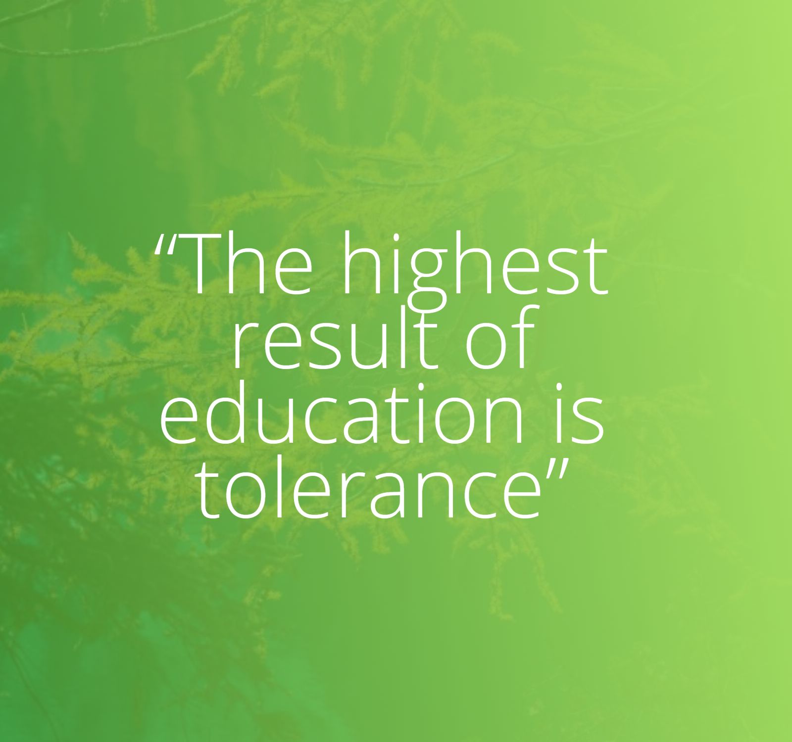 Tolerance And It's Relevance In Life - Way Achievers