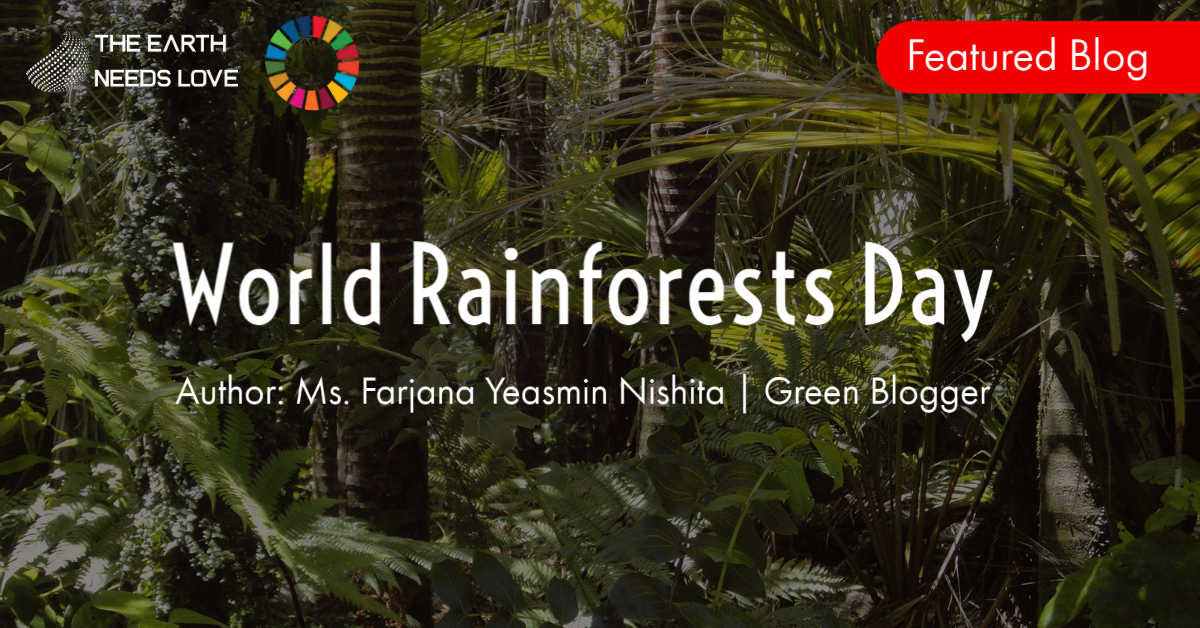 World Rainforest Day