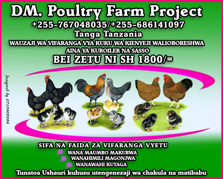 Fursa Za Kunufaika Nazo Katika Ufugaji Wa Kuku.