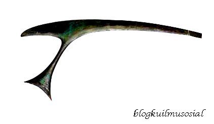 Macam-macam Zaman Praaksara secara Arkeologis - Ilmu Sosial