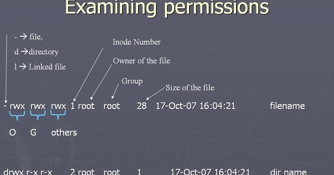 Top 20 Linux and SQL Interview Questions for Java and IT Professionals ...