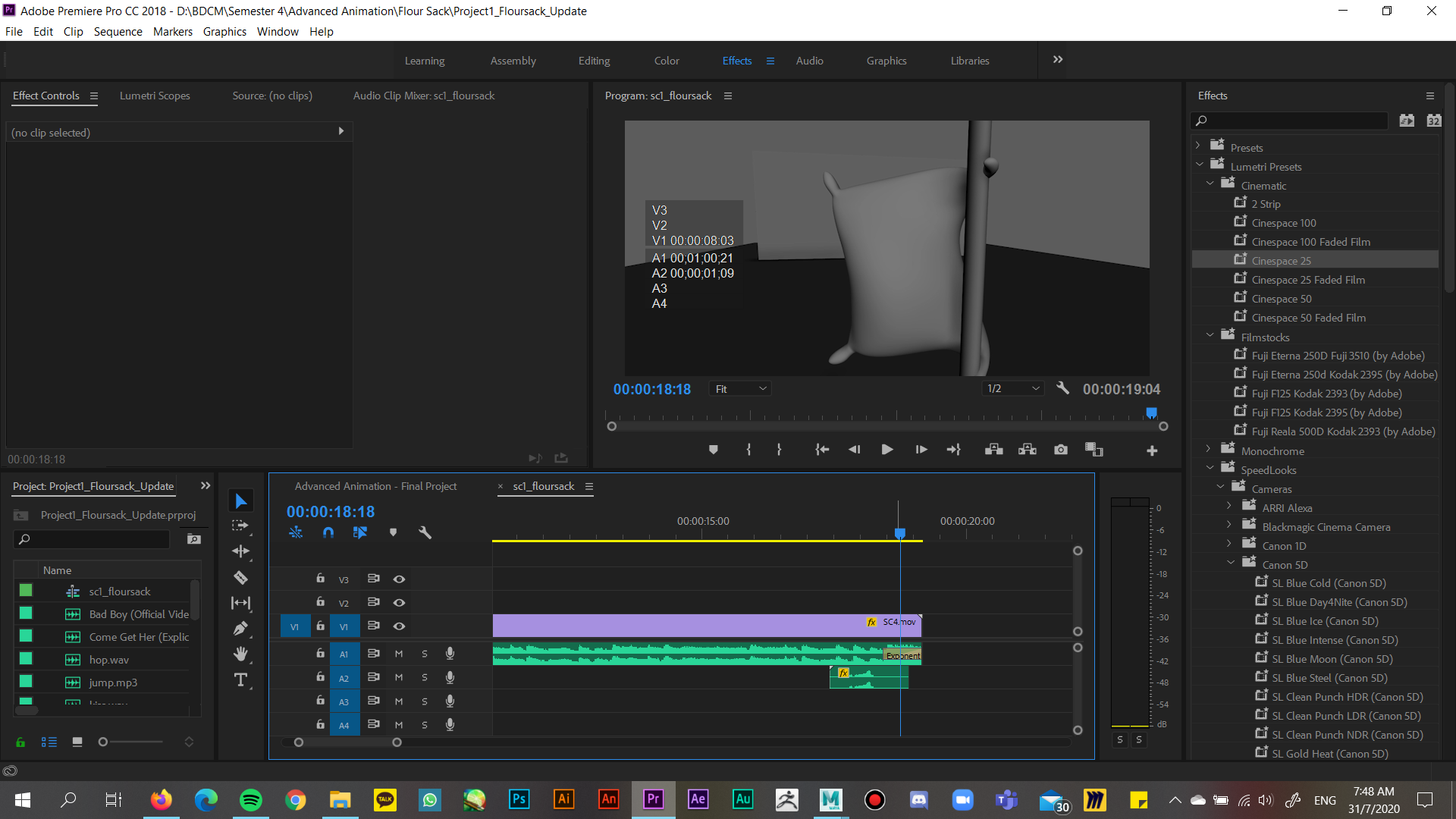 Advanced Animation - Project 1