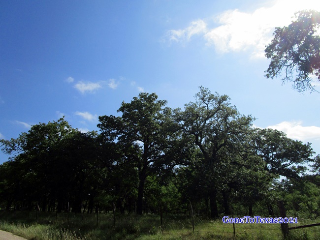 Gone To Texas: Friedrich Christoph Heinrich Kensing and Mathilde Lemburg