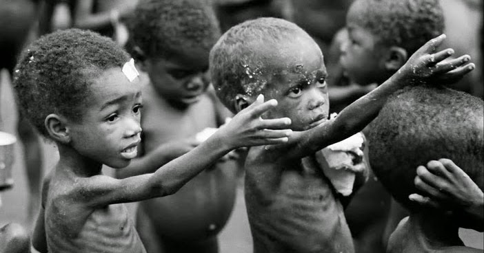 Can Homo sapiens learn from the baboons?