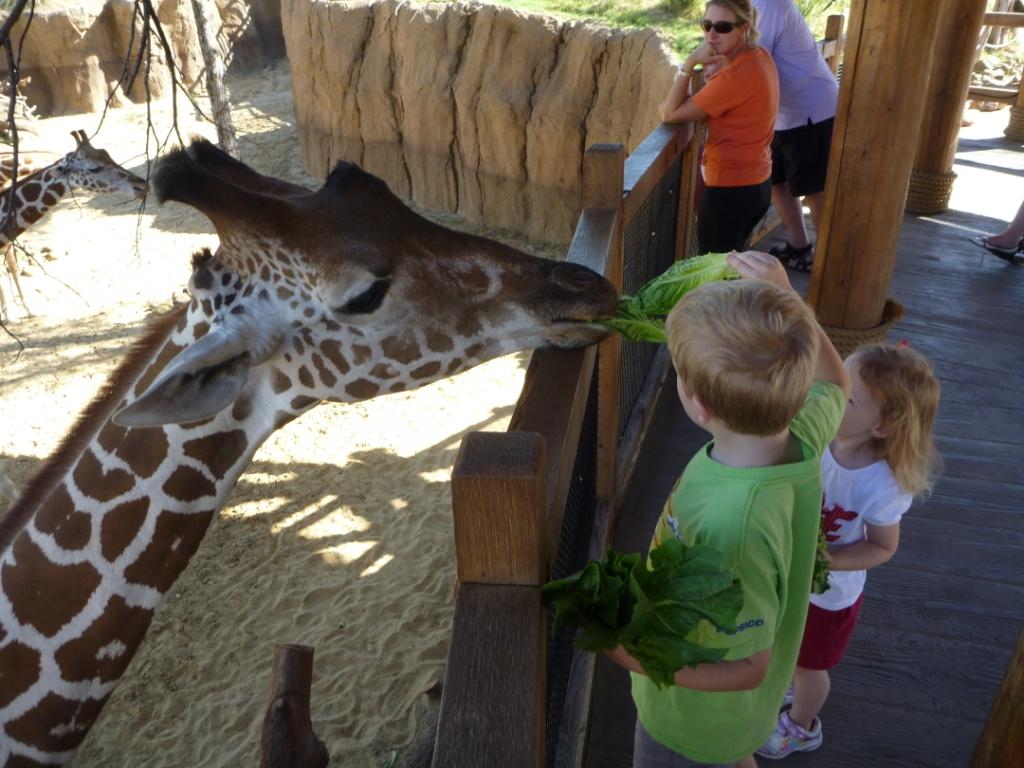 Savor The Days: Dallas Zoo