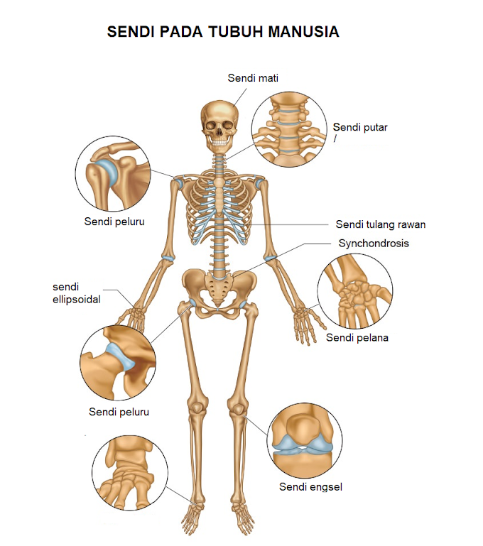 Kelas Tematik Bu Asih