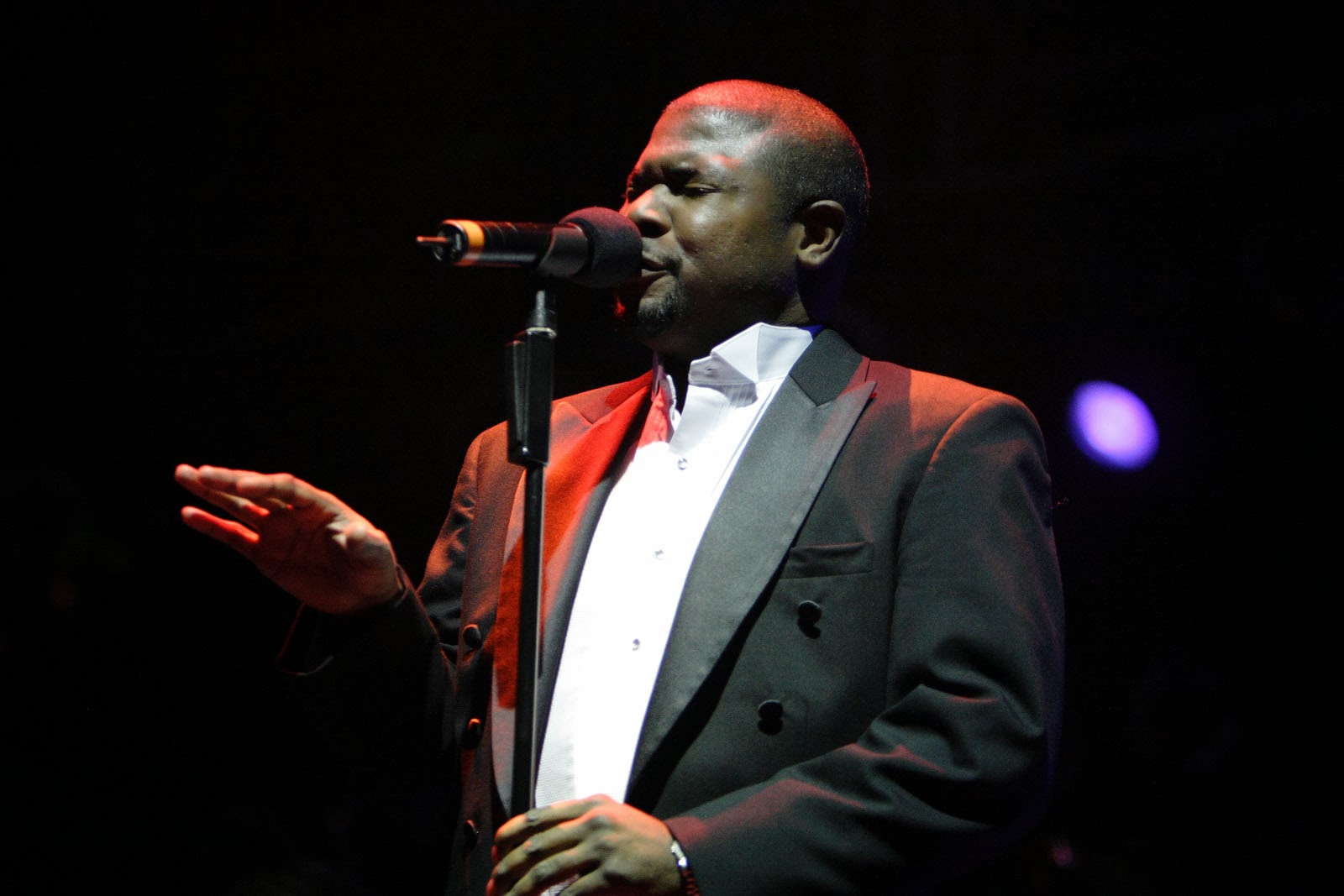 Music and Art Interviews by Dan Roth: A Conversation with Tony Gaynor