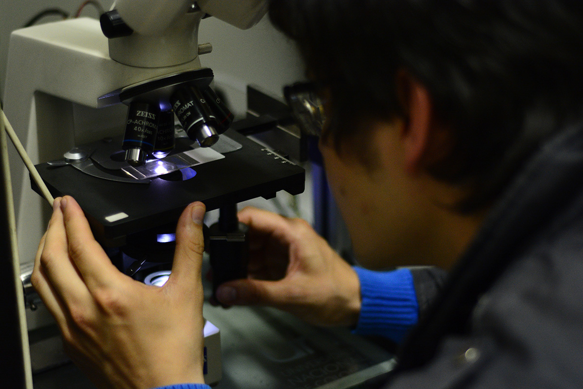 Con microscopía virtual logran mayor precisión en diagnósticos ...