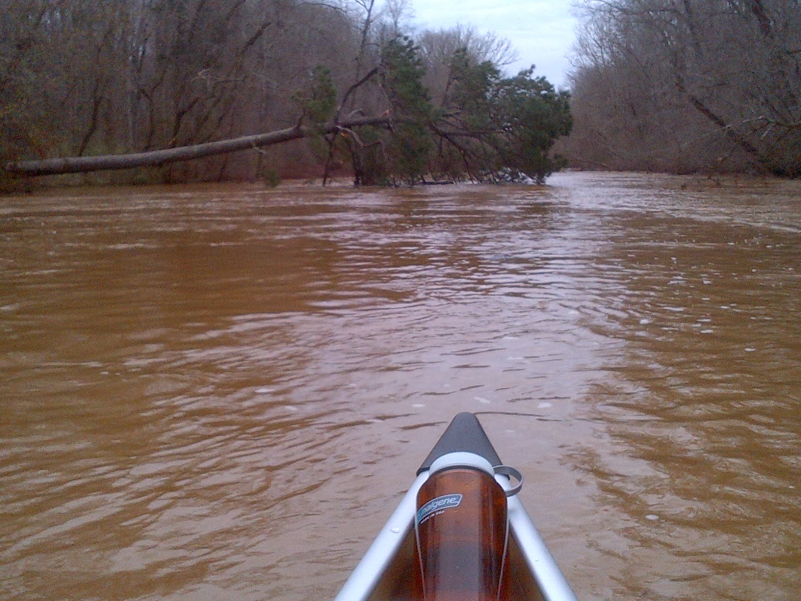 Canoeing SC's Rivers 2014: January 1 - Enoree River - Lower Section