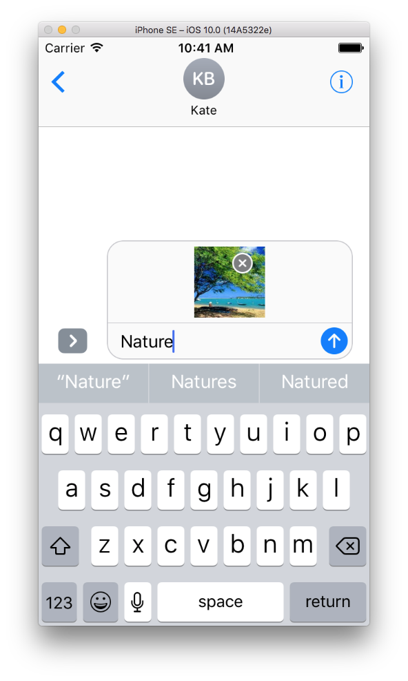 Custom sticker extension using Messages SDK - iMessage App store
