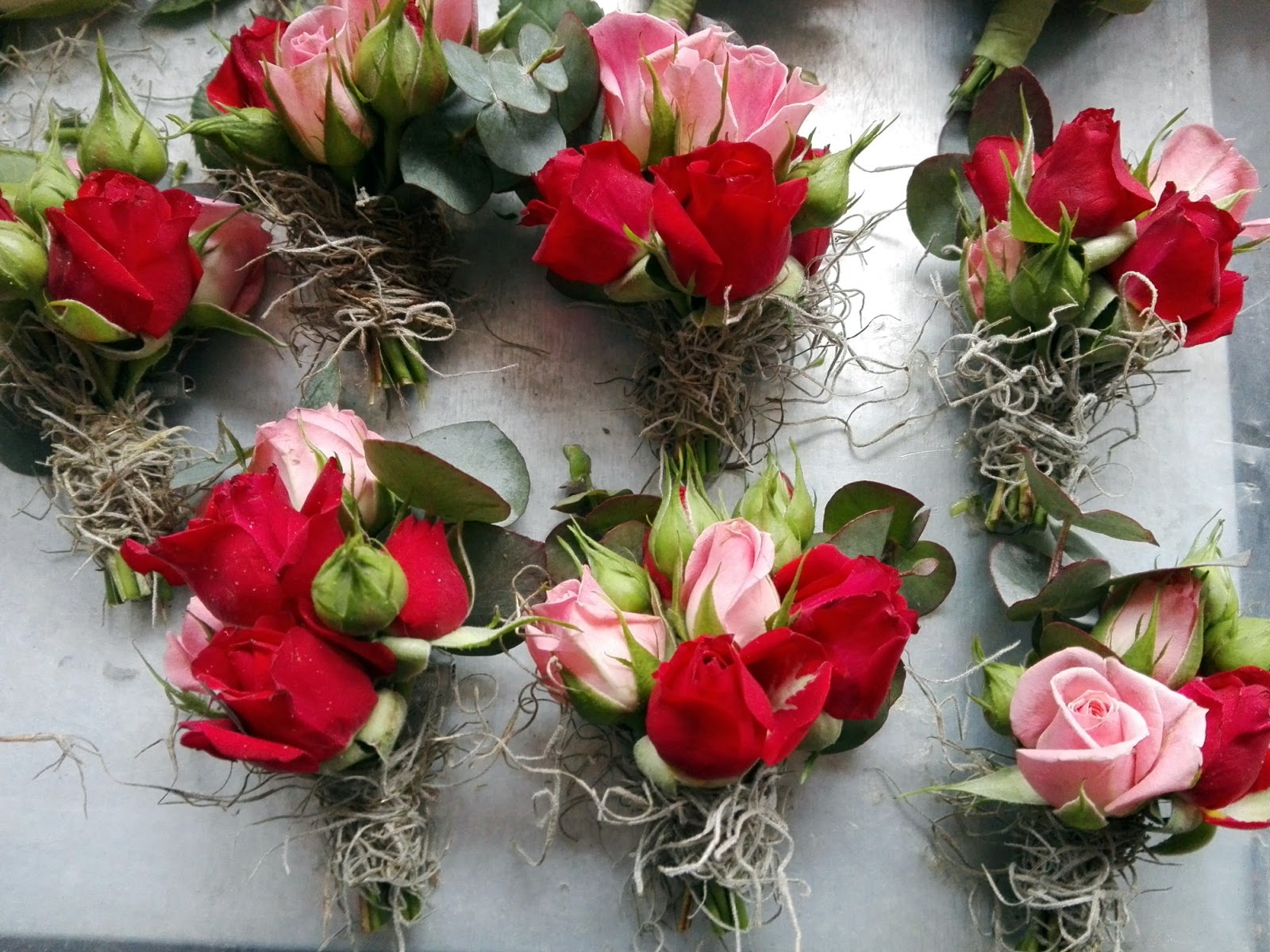 Flowers of Soul: Cocarde