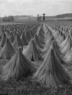 OLTRE IL MURO: ARTE e FOTOGRAFIA: RENÉ-JACQUES | PHOTOGRAPHER