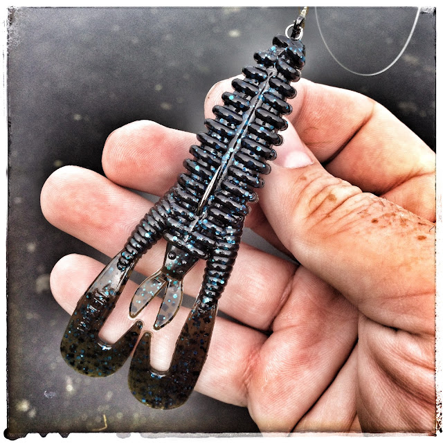 Bass Junkies Frog Pond: NetBait Kickin B Review