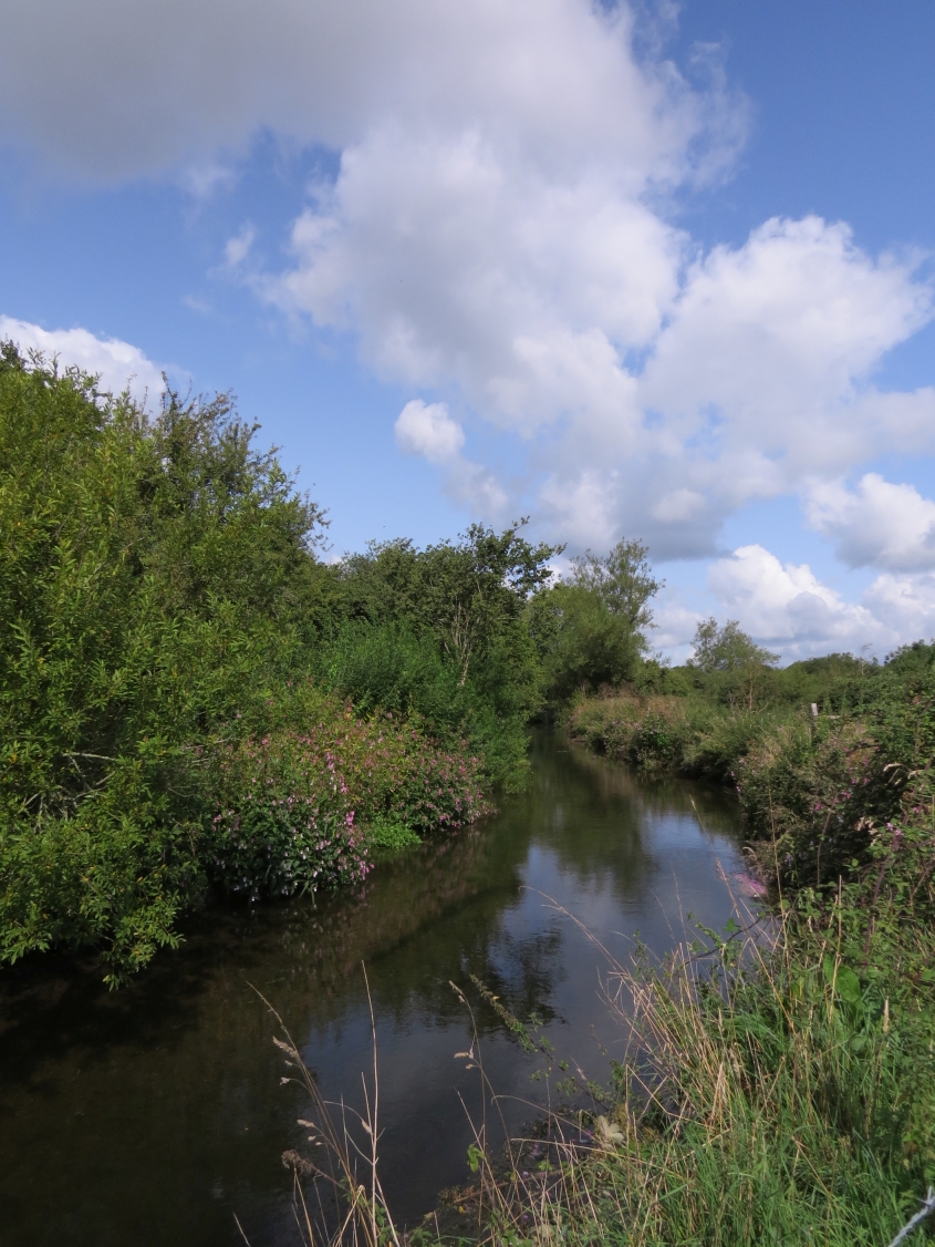 Walking Dorset's gridsquares: Frome Valley Trail - Part 2 - Maiden ...