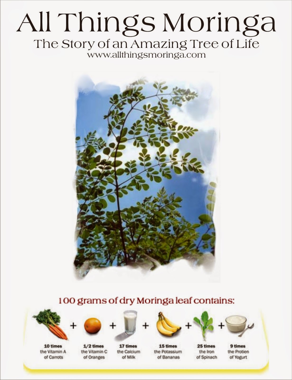Moringa Pakistan: Moringa The Miracle Tree