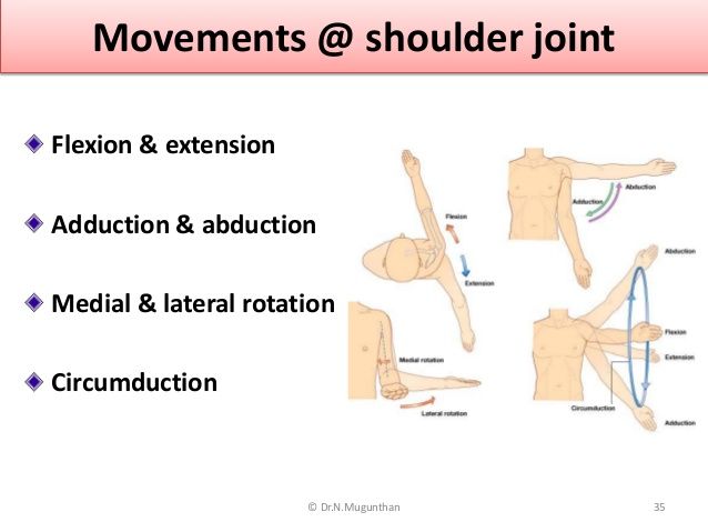 SHOULDER JOINT