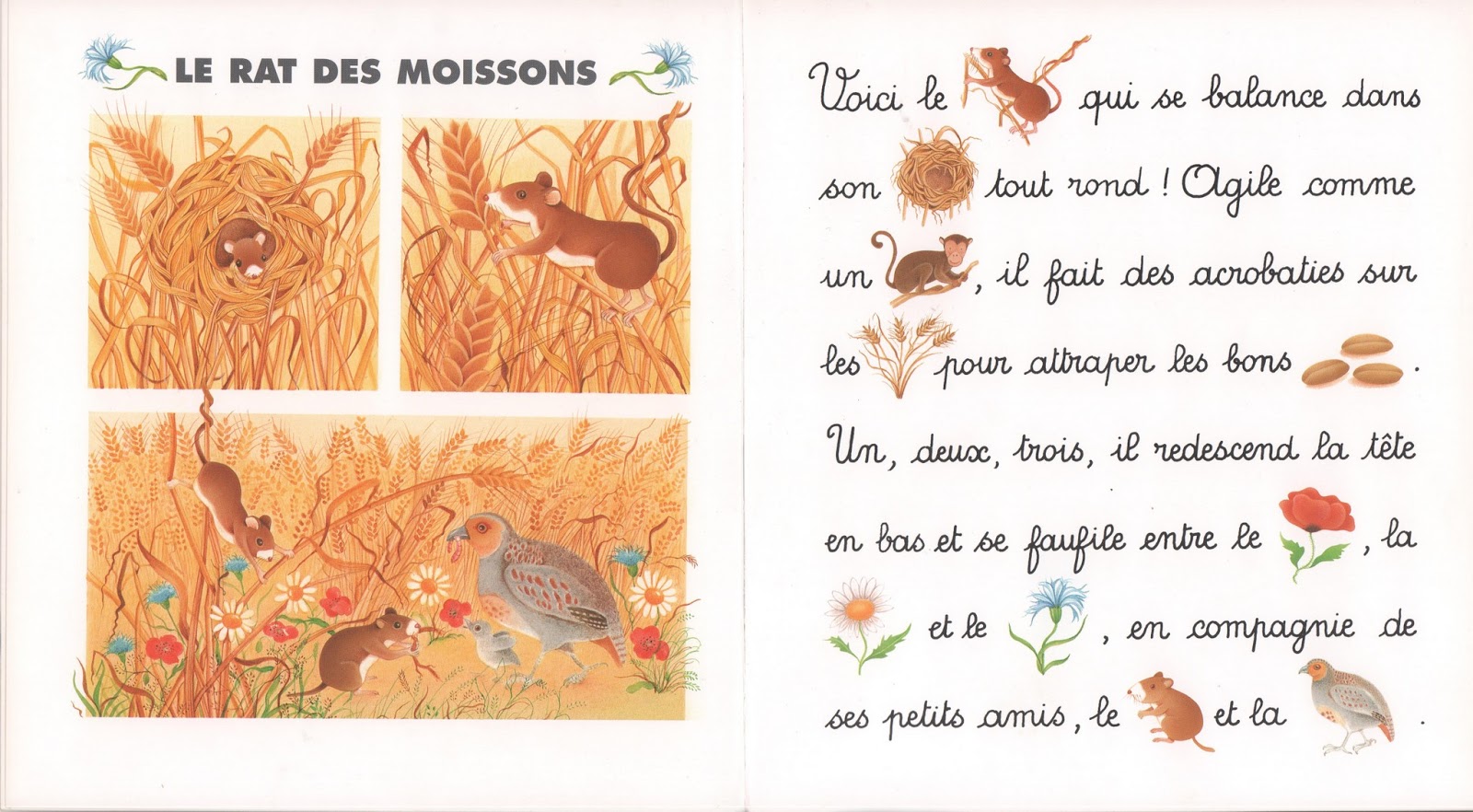 école : références: Je lis avec les animaux de la campagne