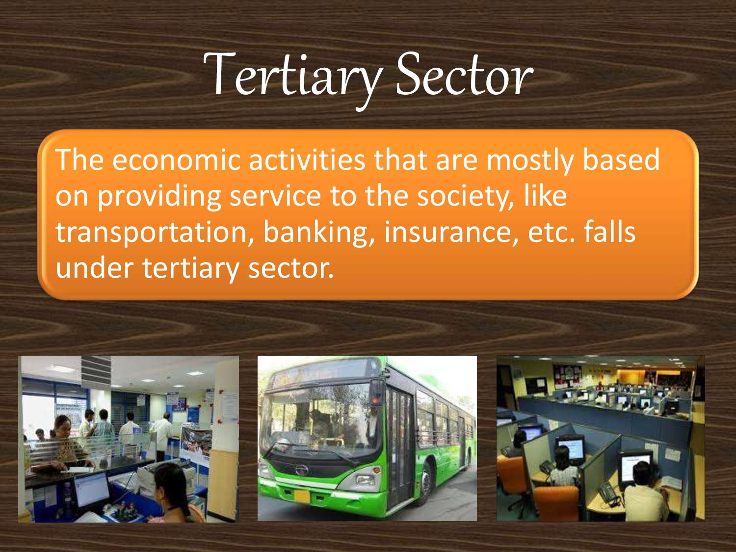 Sectors Of Indian Economy Class 10 (Eco)