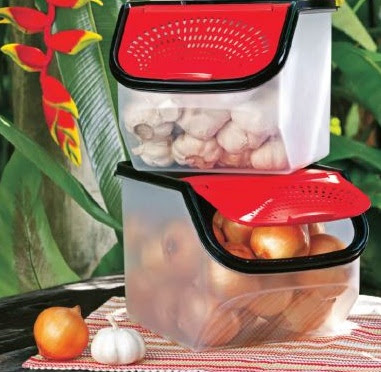 Citra Tupperware: Garlic-N-All Keeper
