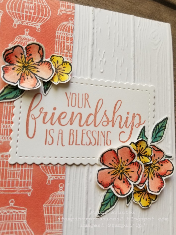 Stampin Expressions: Friendship is a blessing!
