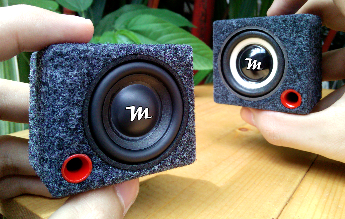 DIY Mini Subwoofer: Mini Subwoofer Emr3ygul Richie Bass Boosted