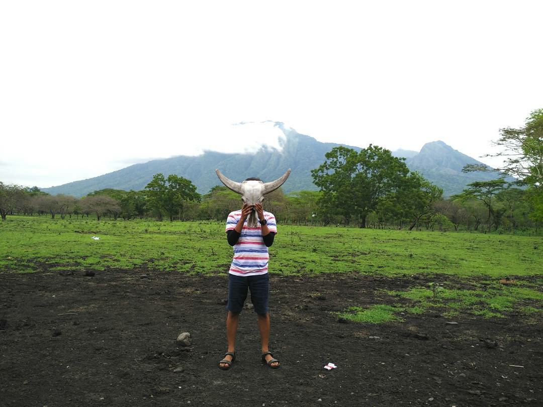 Taman Nasional Baluran - Africa Van Java | Hijab Traveller
