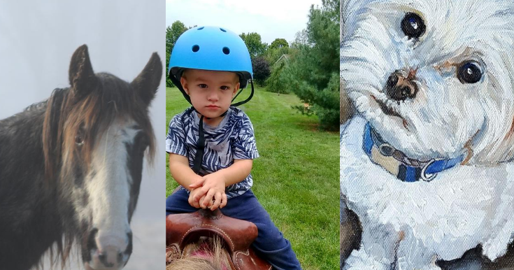 A Multi-Colored Life