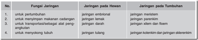 Belajar IPA #dirumahaja: Bab 6. Sistem Organisasi Kehidupan (Materi 2 ... Belajar IPA #dirumahaja: Bab 6. Sistem Organisasi Kehidupan (Materi 2 ...