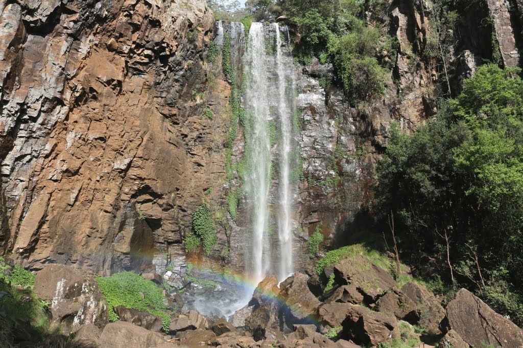 National Park Odyssey: Queen Mary Falls Section of Main Range National ...