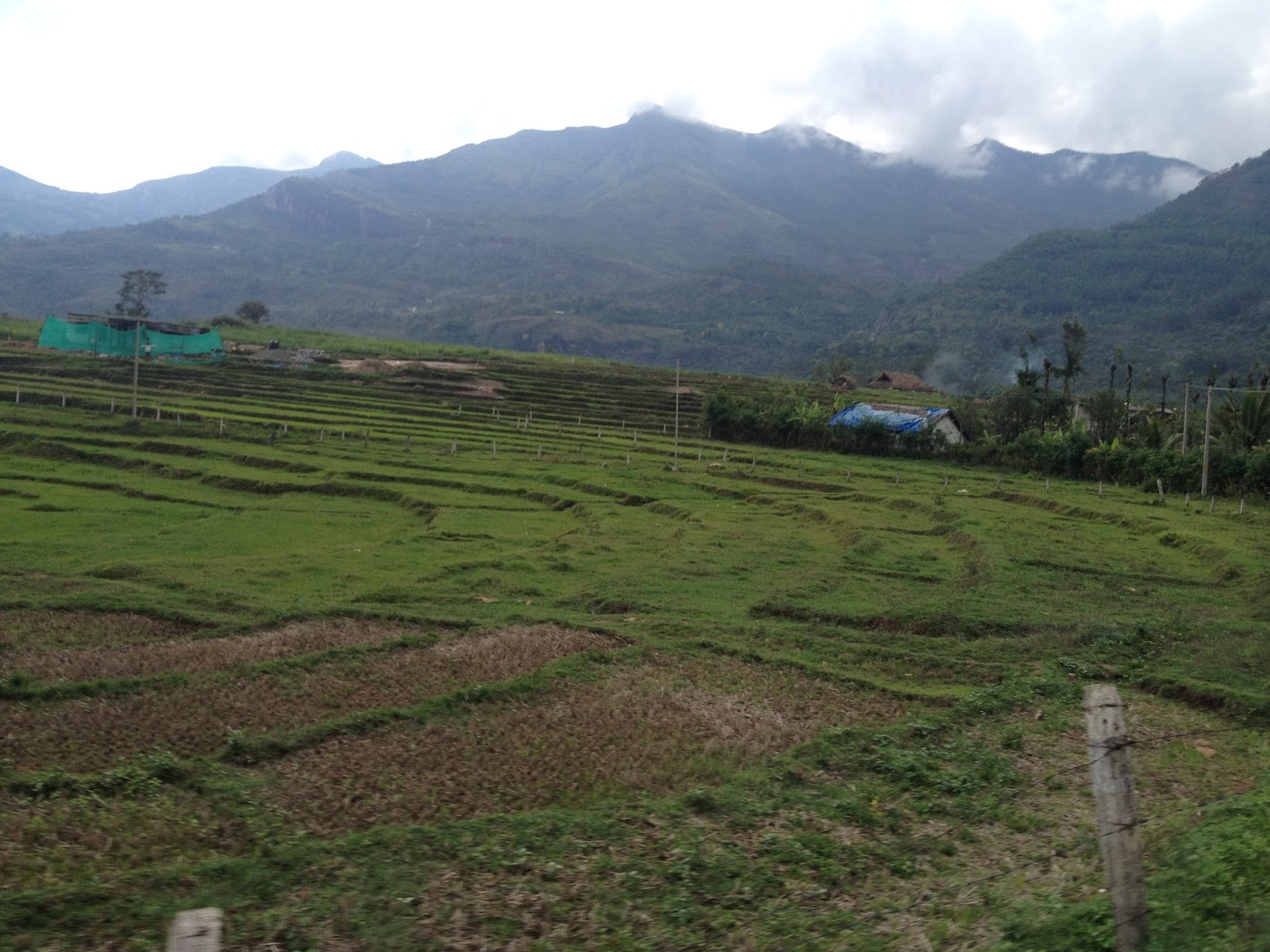 KANTHALLOOR THE LAND OF FRUITS | TOURIST ATTRACTIONS IN KANTHALLOR ...