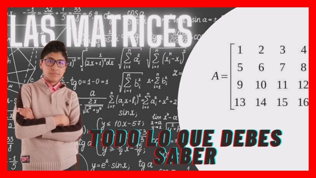 ¿QUÉ ES UNA MATRIZ?🎓TIPOS DE MATRICES ️ TODO LO QUE DEBES CONOCER🎁 Y UN ...