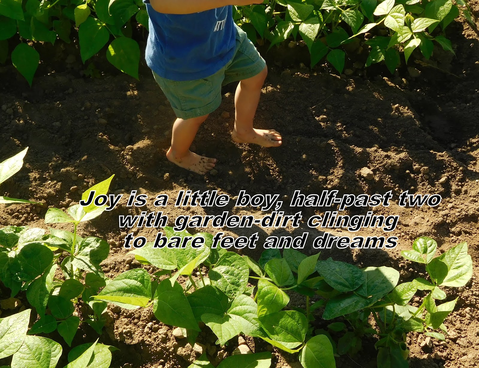 Another Porch ...A Poetry Blog: Heat-wave Poem With a Grave Warning!