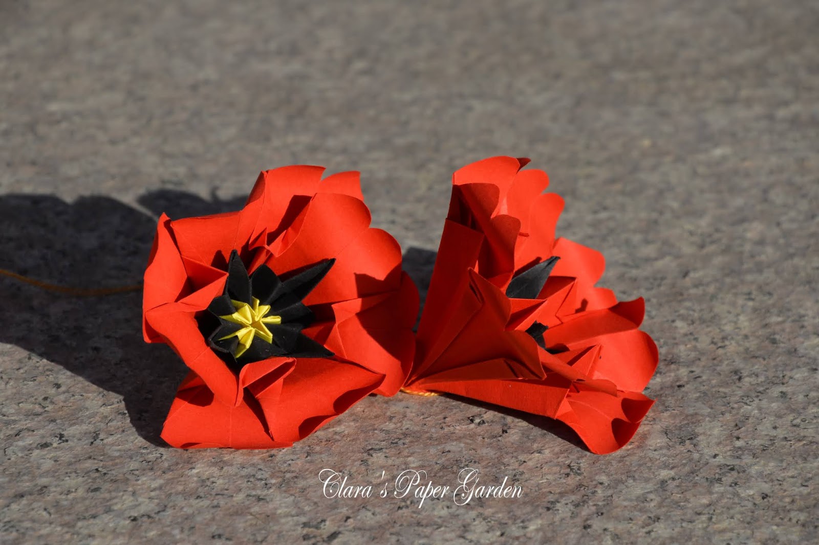 A bunch of poppies and a little bit of grain