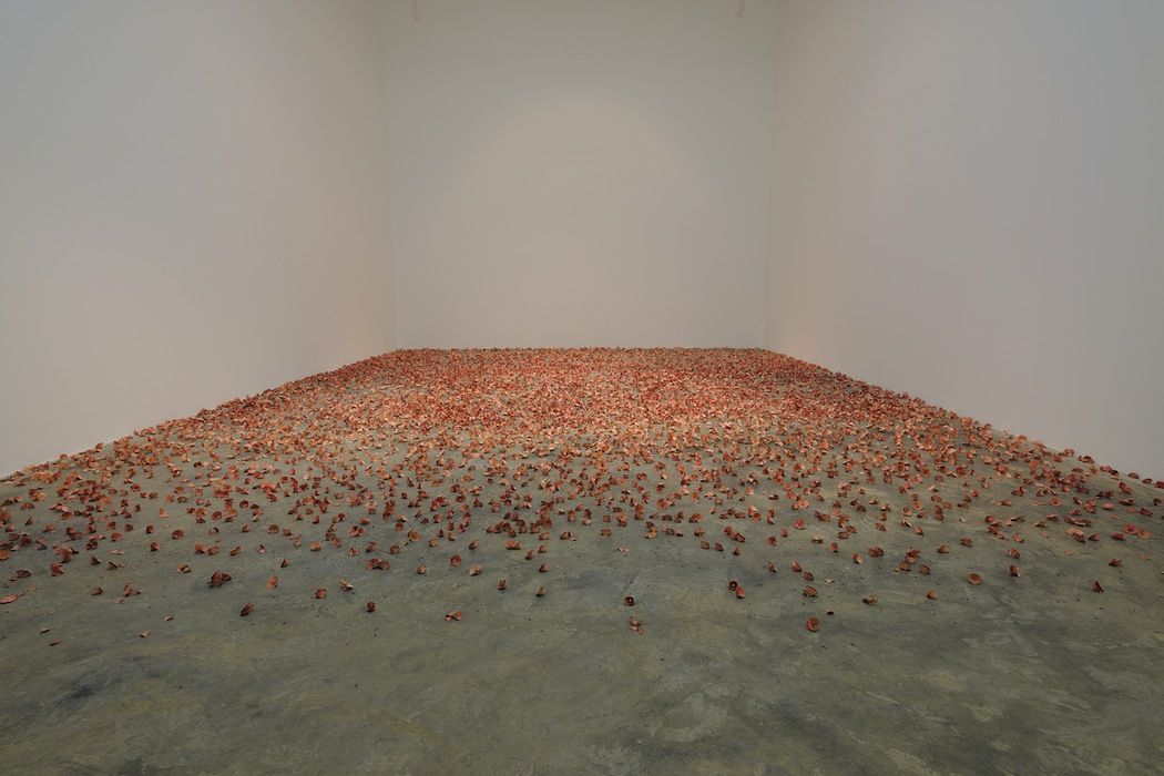 Taysir Batniji – a f a s i a