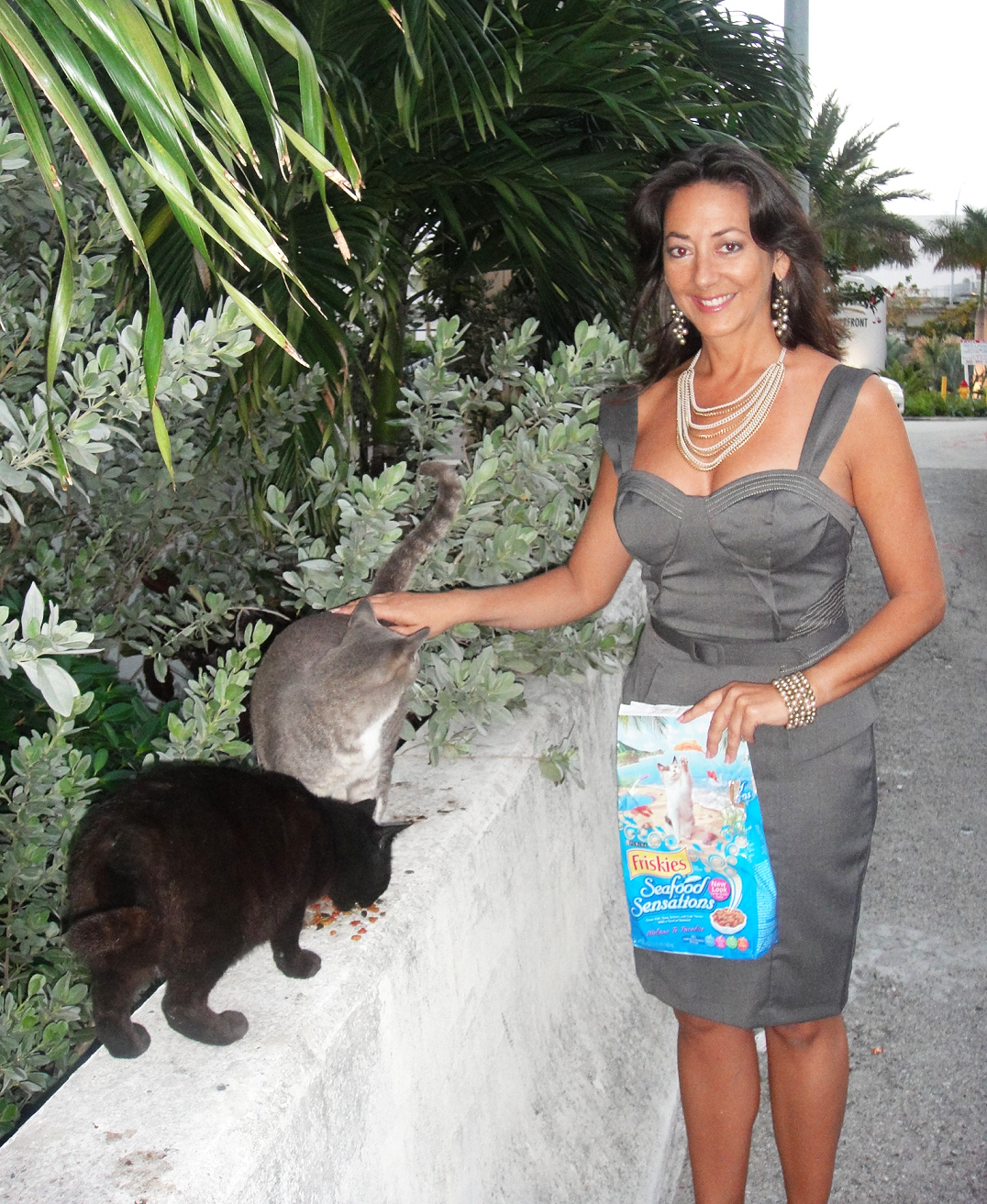 Riverfront Cats, Downtown Miami: Cat Women Claw their Way to Dallas