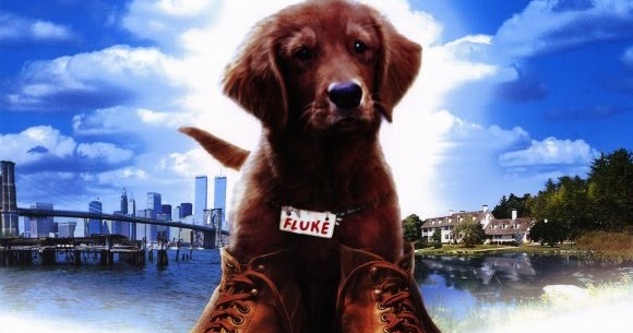 The Spirochaete Trail: Fluke (aka When Will I See You Again?)