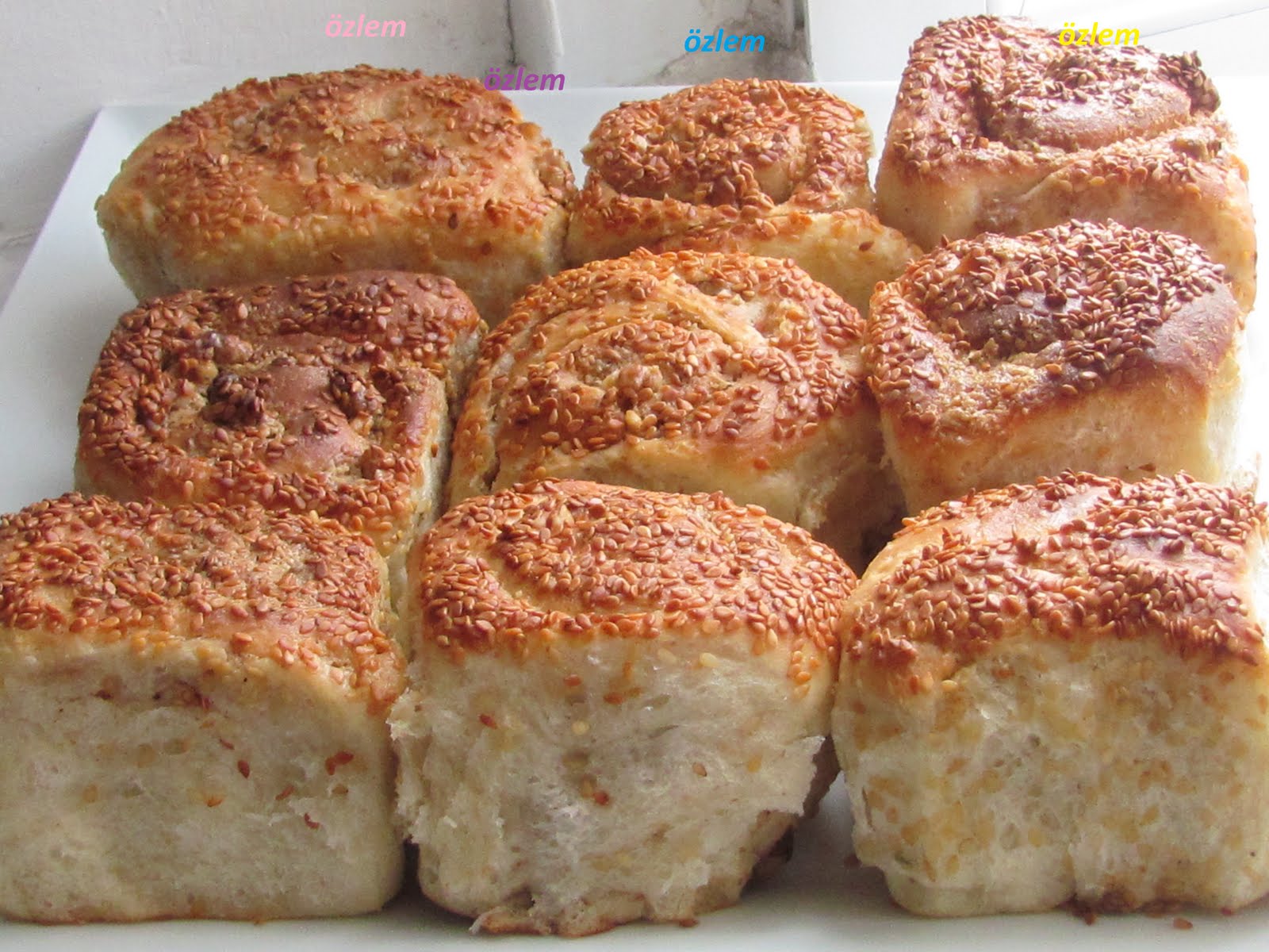 Nokul - Alchetron, The Free Social Encyclopedia