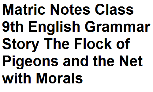 Matric Notes Class 9th English Grammar Story The Flock Of Pigeons And matric-notes-class-9th-english-grammar-story-the-flock-of-pigeons-and