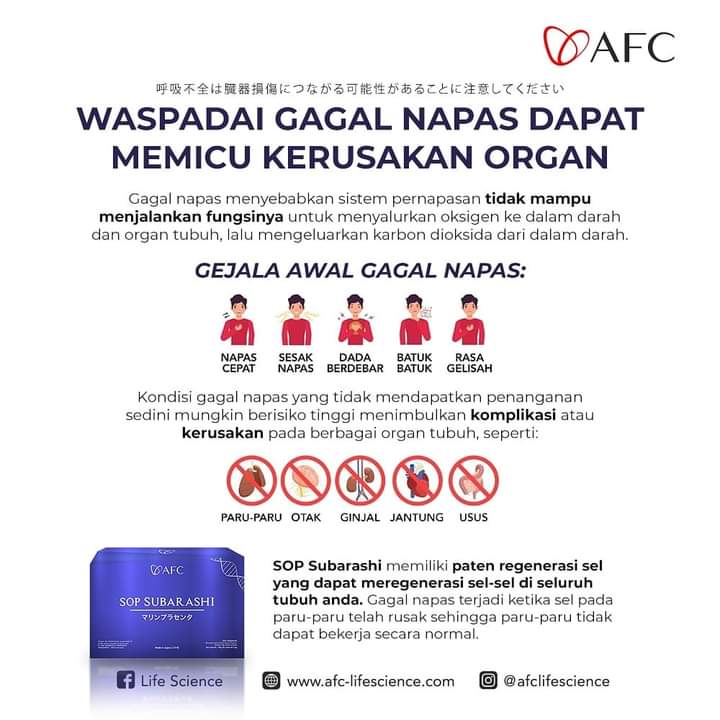 SOP SUBARASHI, UTSUKUSHHII, SOP 100+ dan SENSEI SURU AFC: SOP SUBARASHI