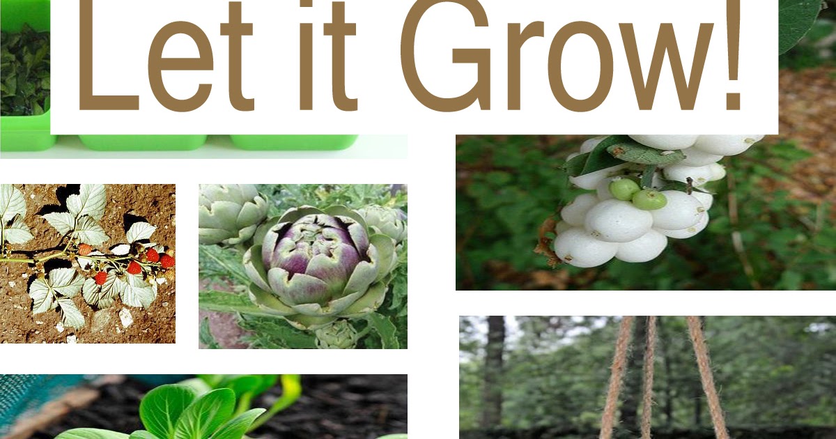 Let it Grow! - Pinterest Gardening