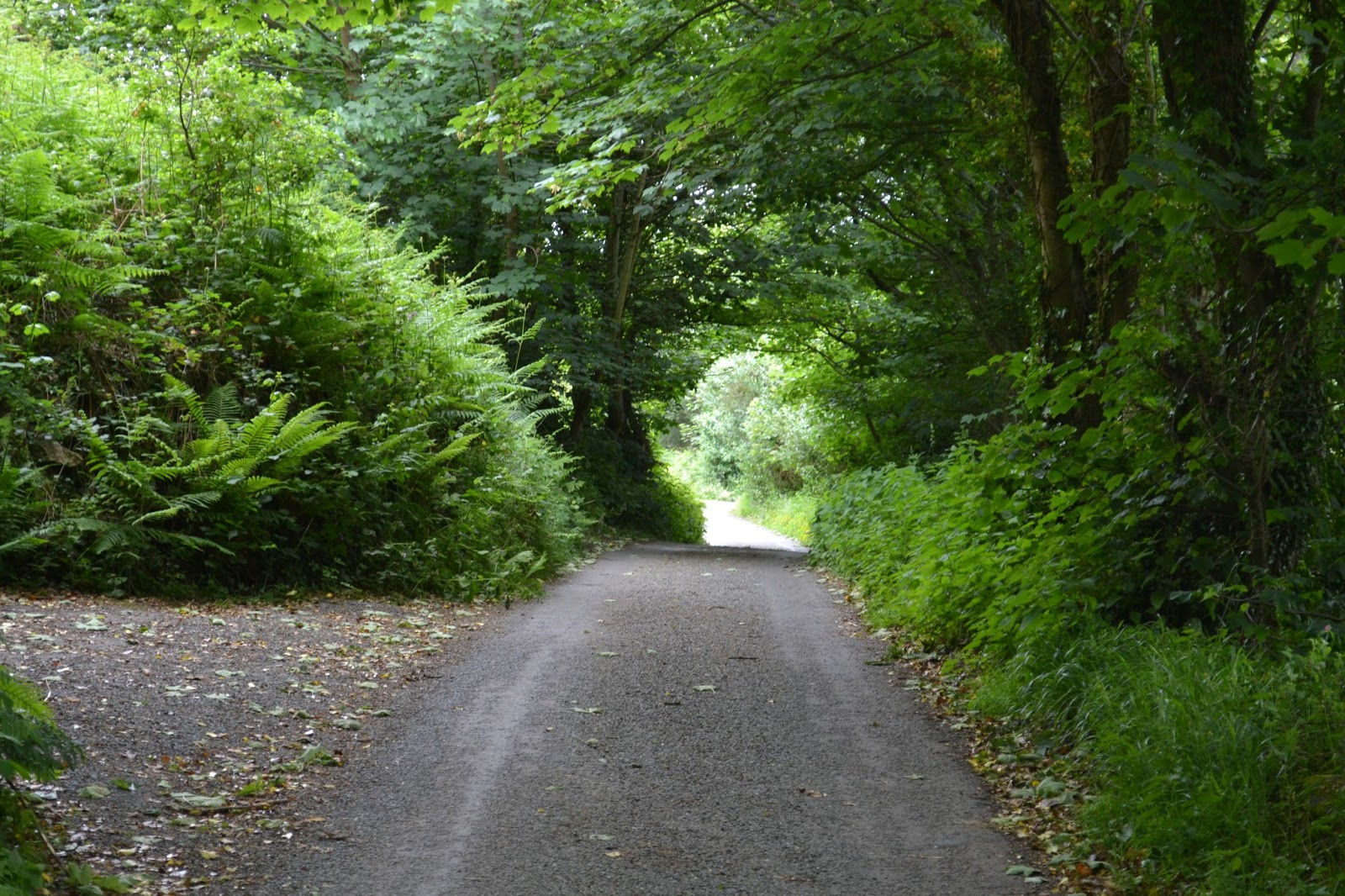 Exploring North Wales: Llanbedrog to the Warren - Wales Coast Path ...
