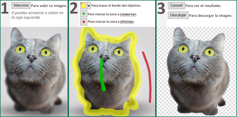 Quitar fondo a una imagen online gratis 【 Aplicación FREE