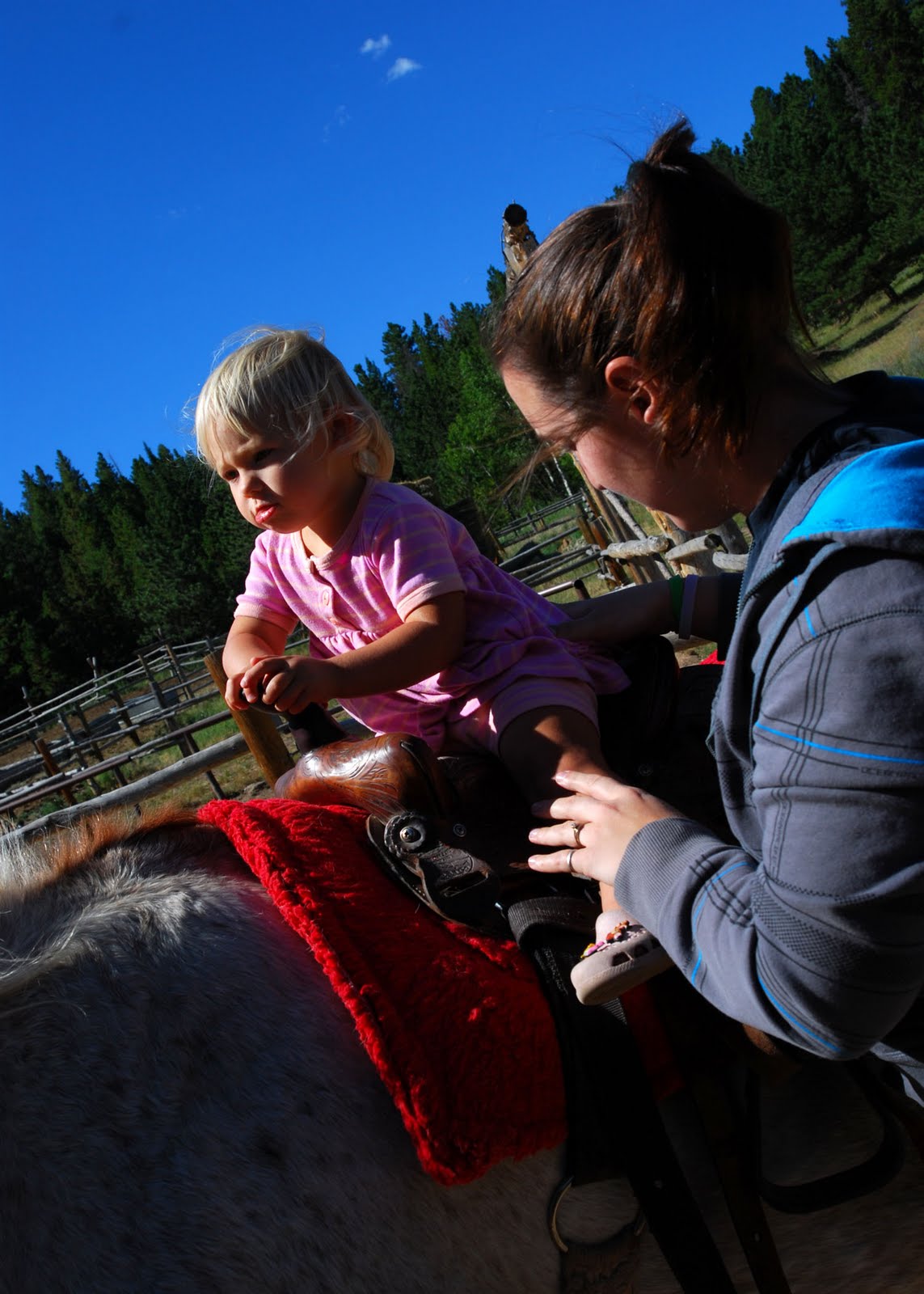 Magnolia and Boothe: Lane Guest Ranch
