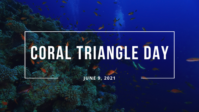 Coral Triangle Day - 09 June. ~ CURRENT AFFAIRS (CA) DAILY UPDATES
