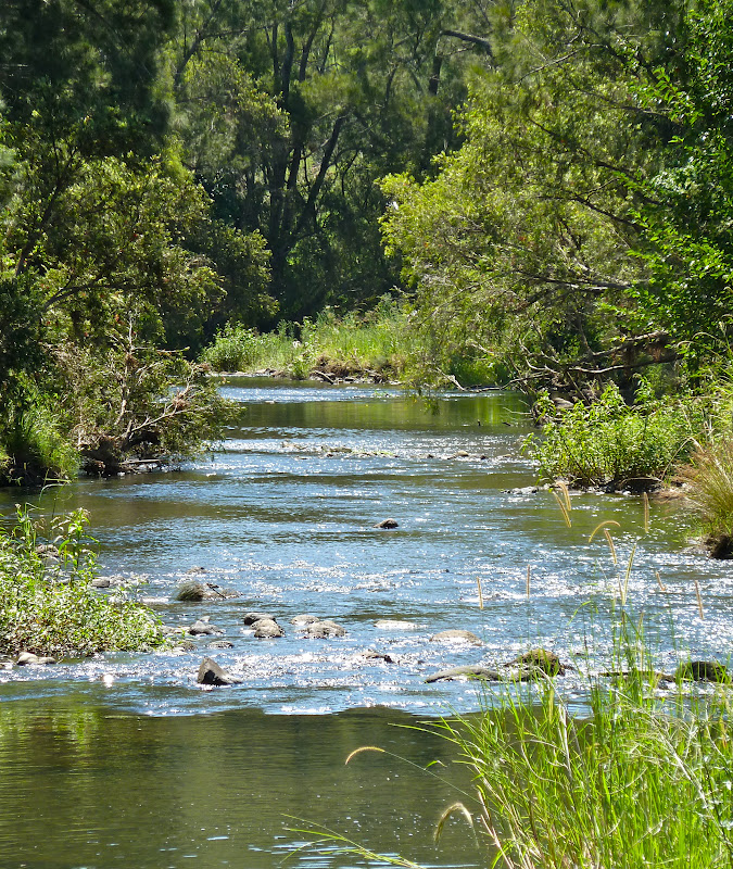 Hey Jude in Brisbane: Summer in the city 5: Lost World Valley