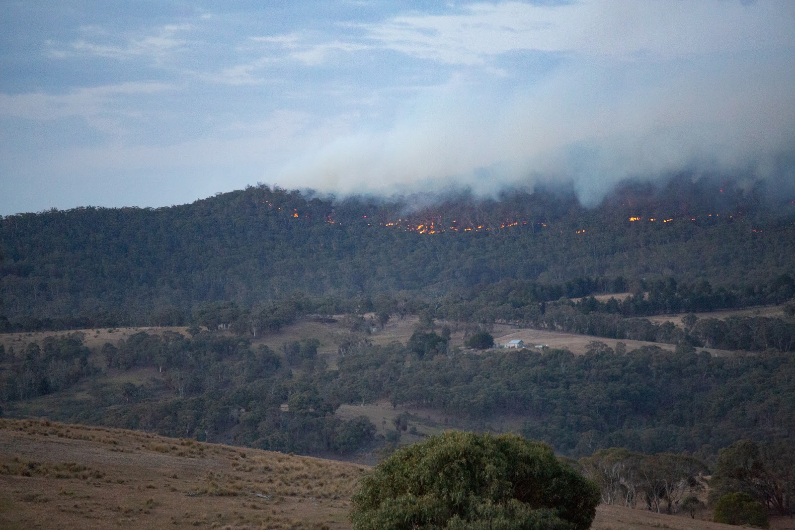 Tallaganda Wilderness Fire 2019-20: Chronology 24-29 November