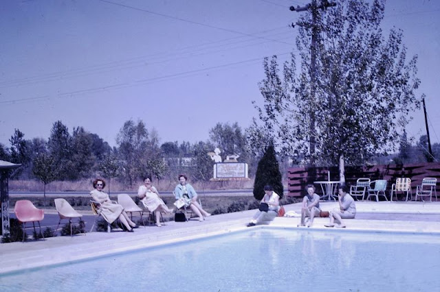 30 Vintage Found Photos Capture People at Pools in the 1950s and ’60s ...