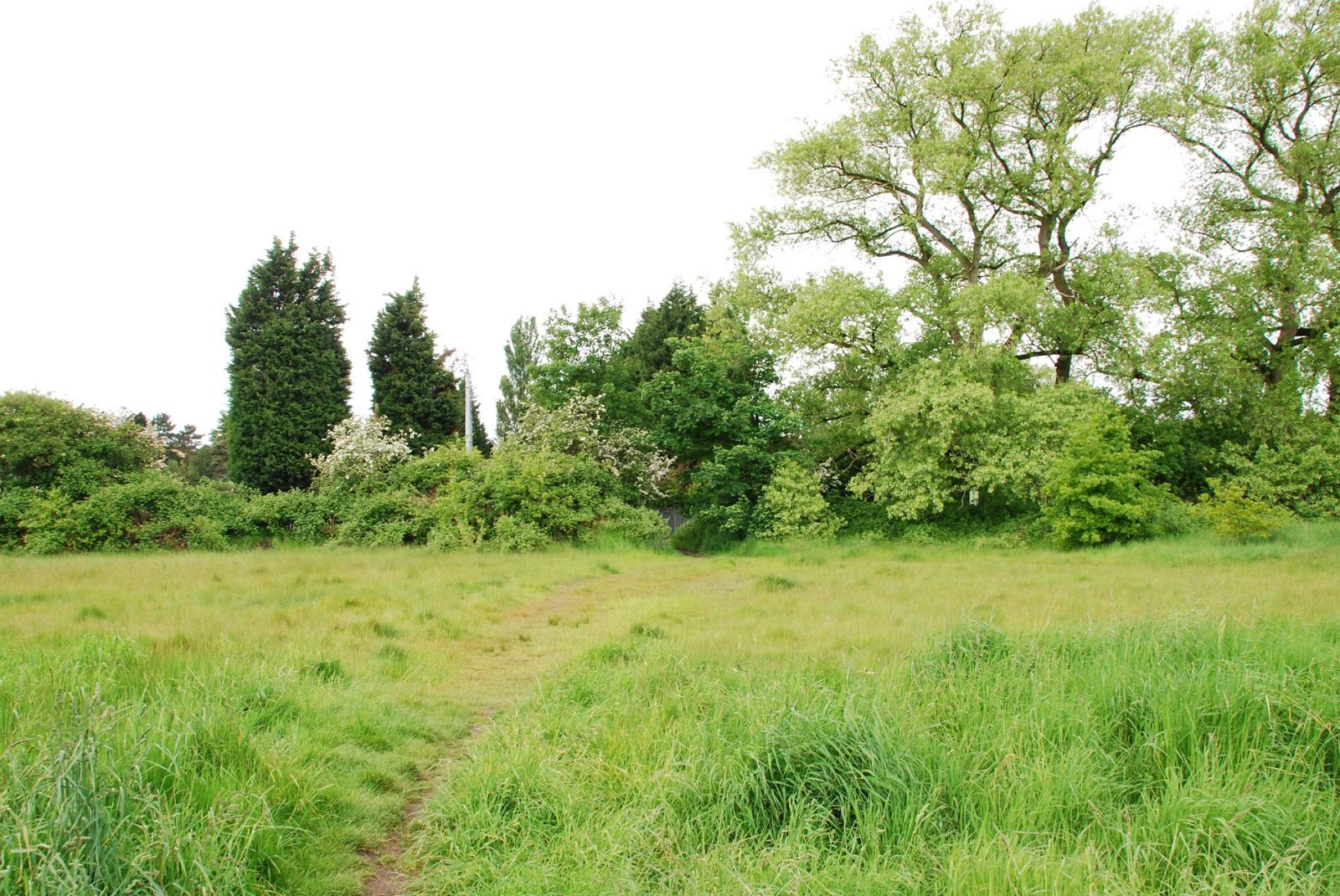 Stuart Marsden's Conservation Research Group: The history and natural ...