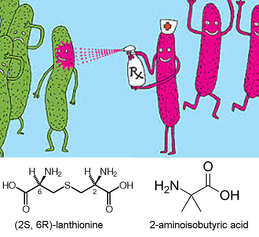 As Many Exceptions As Rules: So Many From So Few