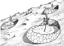 Servicios Integrales del Agro.: SIEMBRAS AL CONTORNO O EN CURVAS A NIVEL.